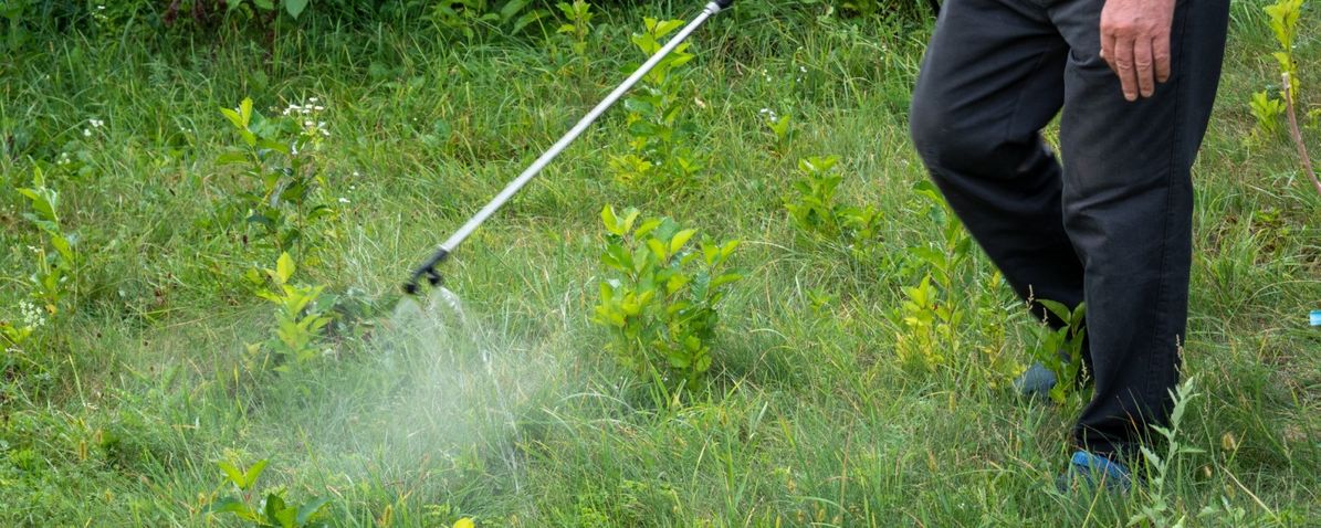 Spraying Weed Killer: How to Do it Safely and Efficiently