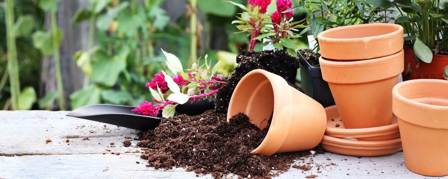 In this article you will find advice on why a potting table is worth ...